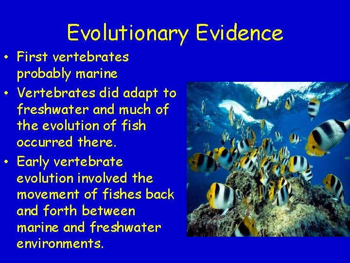 The Fishes Vertebrate Success in Water Chapter 18