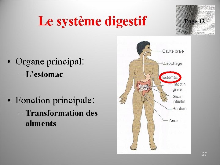 Anatomie physiologie niveaux dorganisation du vivant 1 Cur