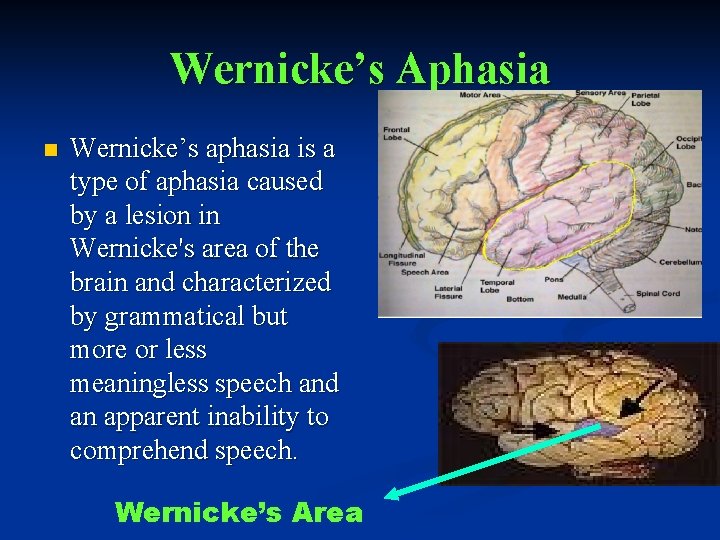 Chapter 16 In the Steps of the Diagram