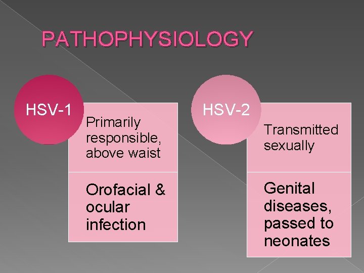 HERPES SIMPLEX DENDRITIC ULCER Prepared by Nutrimala Nadia