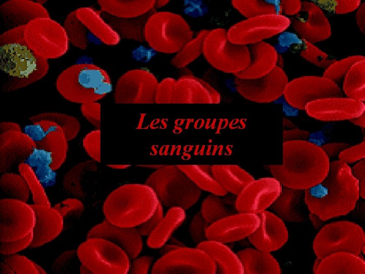 Le systme circulatoire Les groupes sanguins Introduction Le