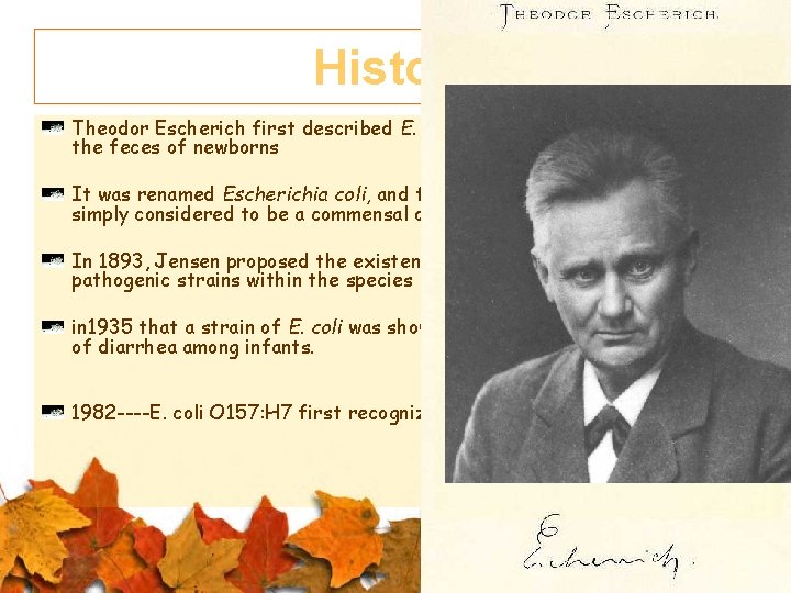 In the name of God E coli Gastroenteritis