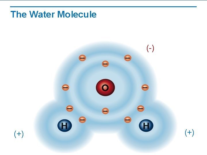Properties of Water Learning Objectives Discuss the unique