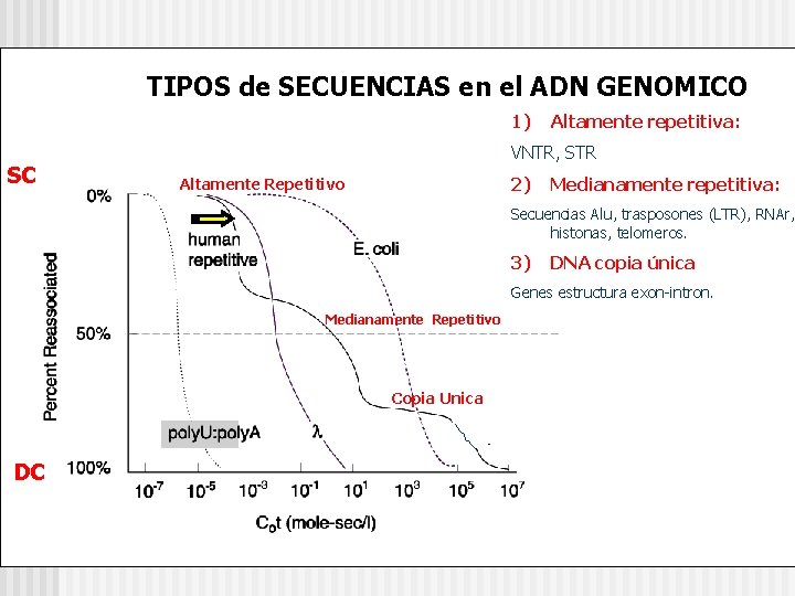Qumica Biolgica Patolgica TECNICAS DE BIOLOGIA MOLECULAR II