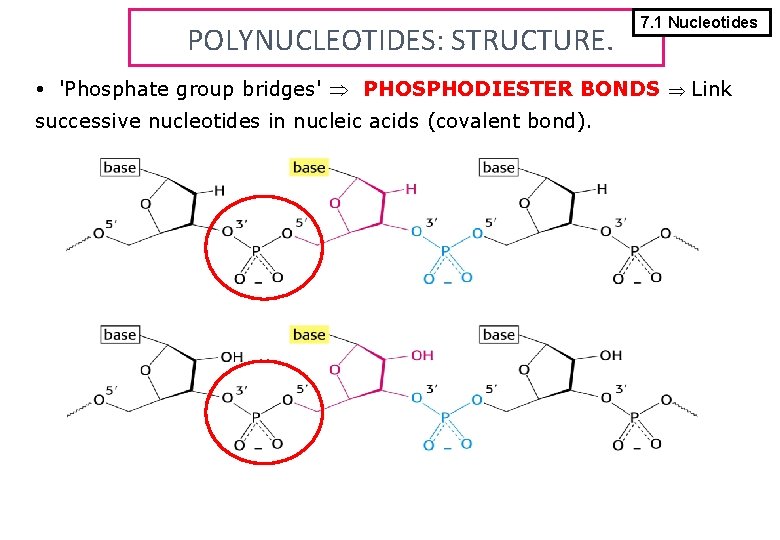 Departamento de Agroqumica y Bioqumica Departament DAgroqumica i
