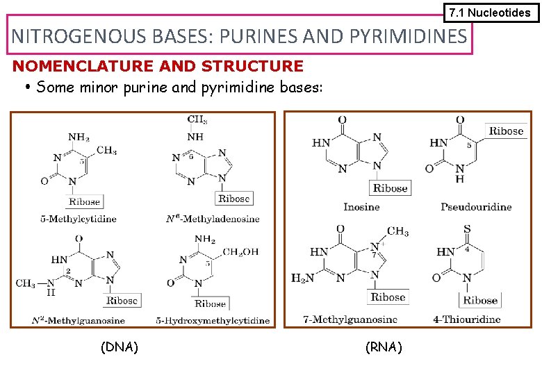 Departamento de Agroqumica y Bioqumica Departament DAgroqumica i