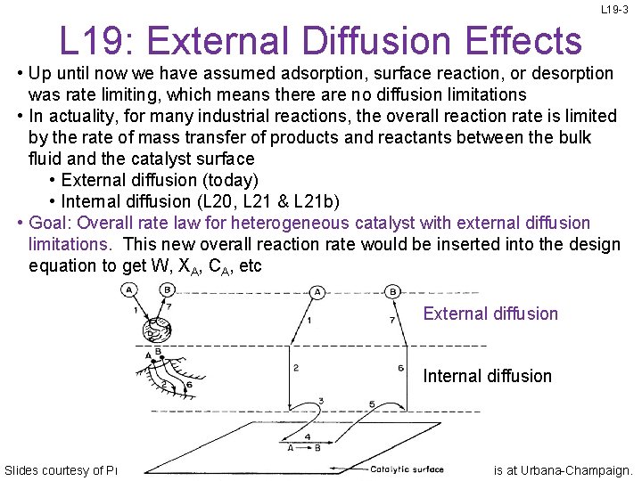 Review Steps in a Heterogeneous Catalytic Reaction 7