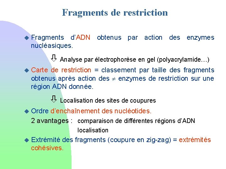 TECHNOLOGIE DE LADN RECOMBINANT La technologie de lADN