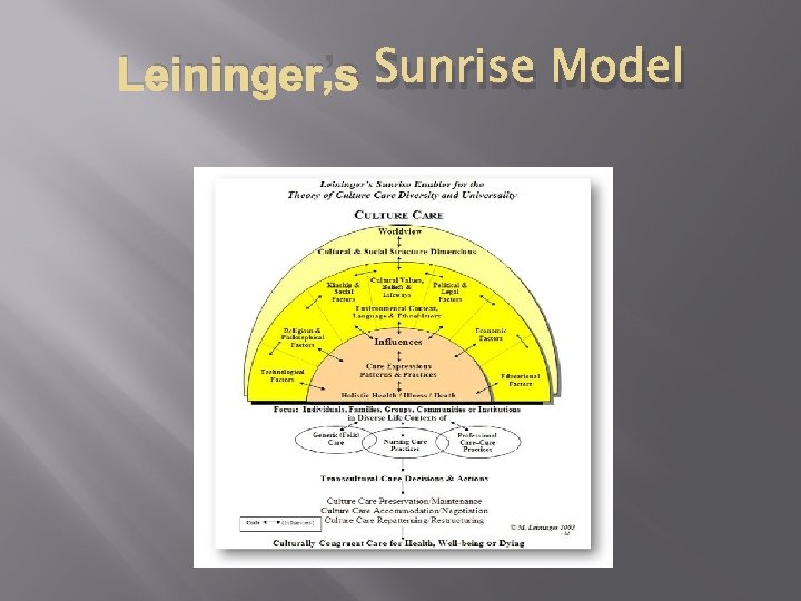 NURSING THEORY PRESENTATION Denise Broghamer Noranne Morin Kim