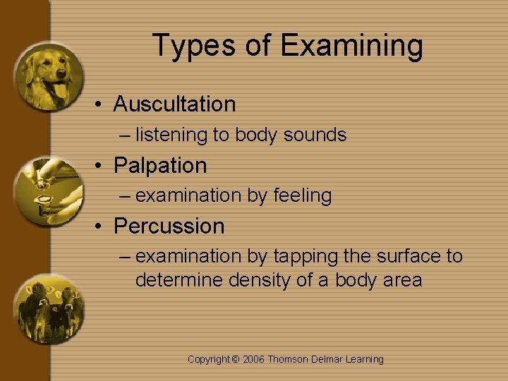 Chapter 16 Testing Testing Physical Exam Laboratory Radiographic