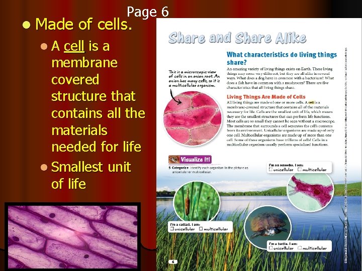 Introduction to Living Things Unit 1 Lesson 1