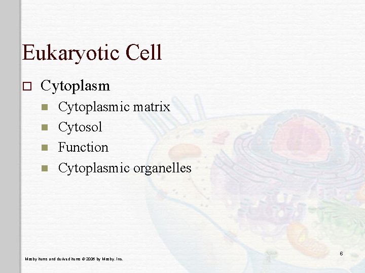 Cellular Biology Chapter 1 1 Prokaryotes vs Eukaryotes