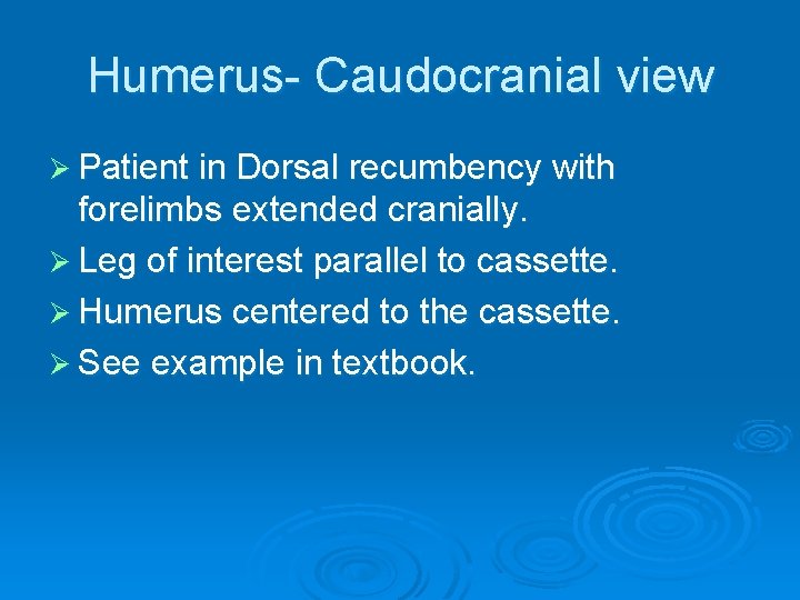 Small Animal Forelimb Ch 13 Scapula Two methods