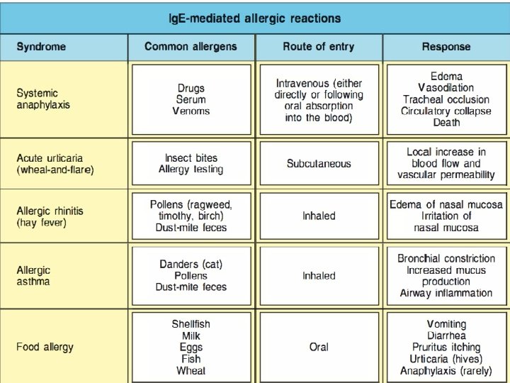Allergic asthma Done by Mohammad Daas p s