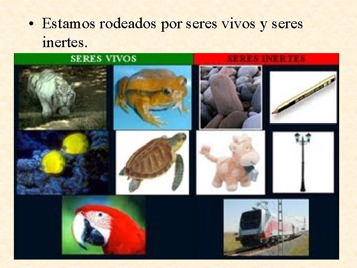 UNIDAD EL MUNDO QUE ME RODEA Estamos rodeados