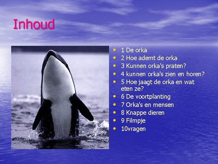 De Orka Spreekbeurt van Romy Vonk Gr 6