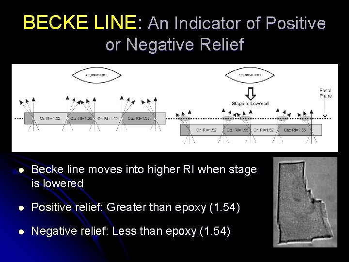 Introduction to Light and Polarized Light Definition of