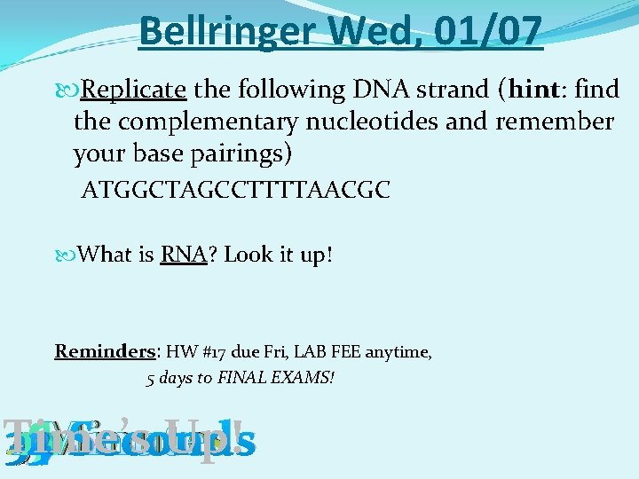 Bellringer Wed 0107 Replicate the following DNA strand