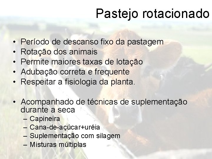 Nutrio de Bovinos O que um animal ruminante