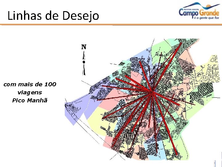 Plano Diretor de Transporte e Mobilidade Urbana de