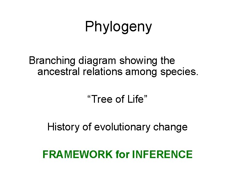 Evolutionary Biology Concepts Molecular Evolution Phylogenetic ...