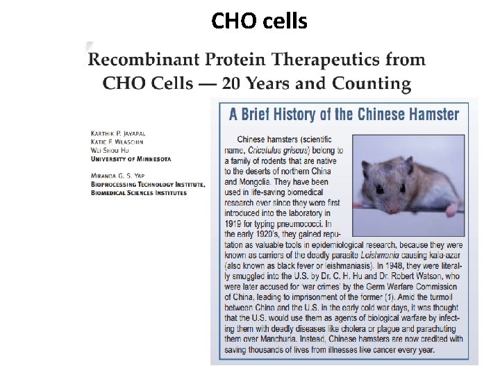 CHO cells FIG 2 Typical set of 23