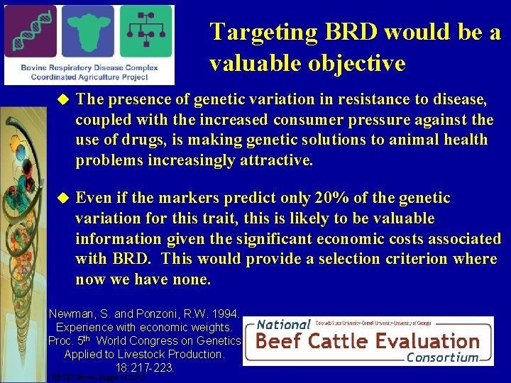 Beef Improvement Federation Bovine Respiratory Disease Guidelines Update