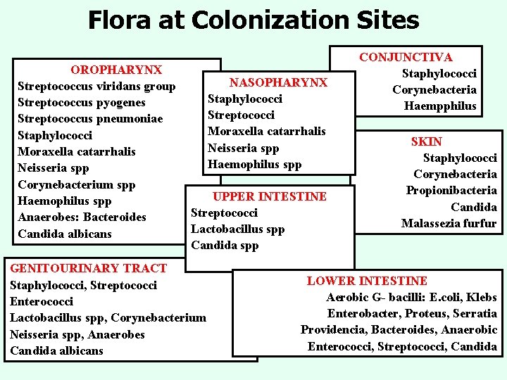 Sources of Healthcare Associated Infections Infectious Disease Epidemiology