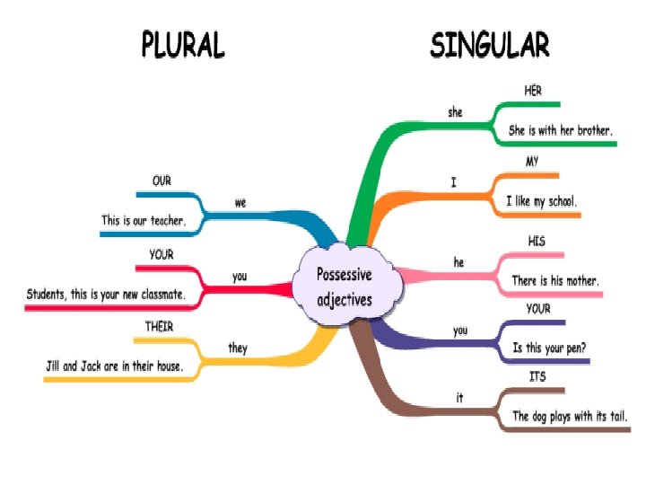 Unit 2 Verb to be Possessive s Question