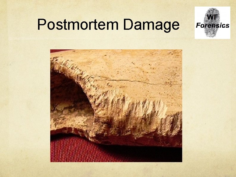 UNIT 3 FORENSIC ANTHROPOLOGY IMPRESSIONS Objective Identifying Male