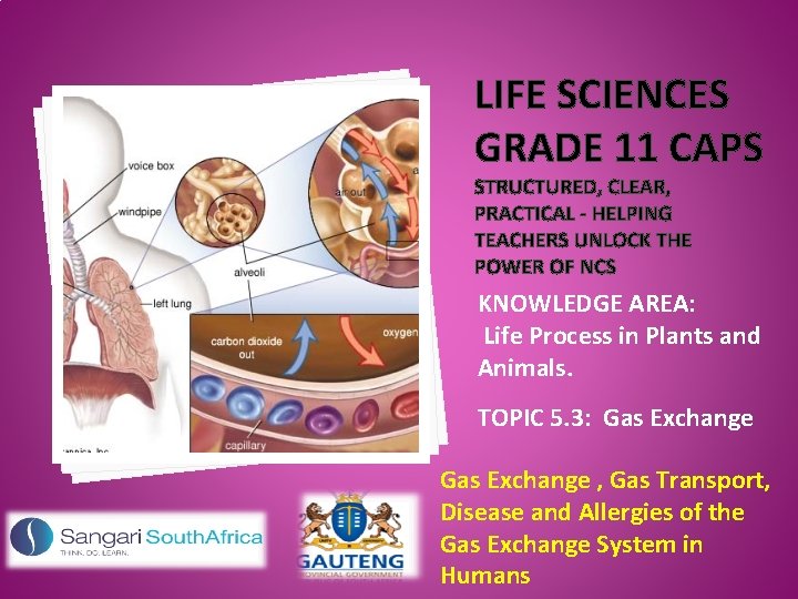 LIFE SCIENCES GRADE 11 CAPS STRUCTURED CLEAR PRACTICAL