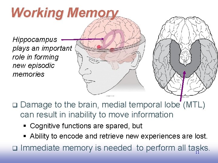 Cognitive Architectures A Functional Framework for Cognition Based