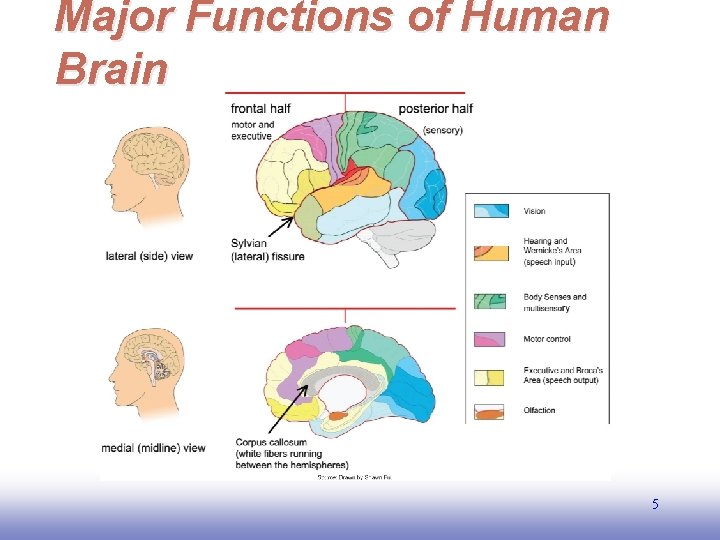 Cognitive Architectures A Functional Framework for Cognition Based