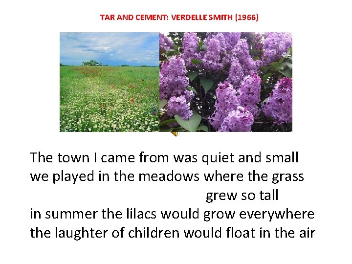 TAR AND CEMENT VERDELLE SMITH 1966 The town