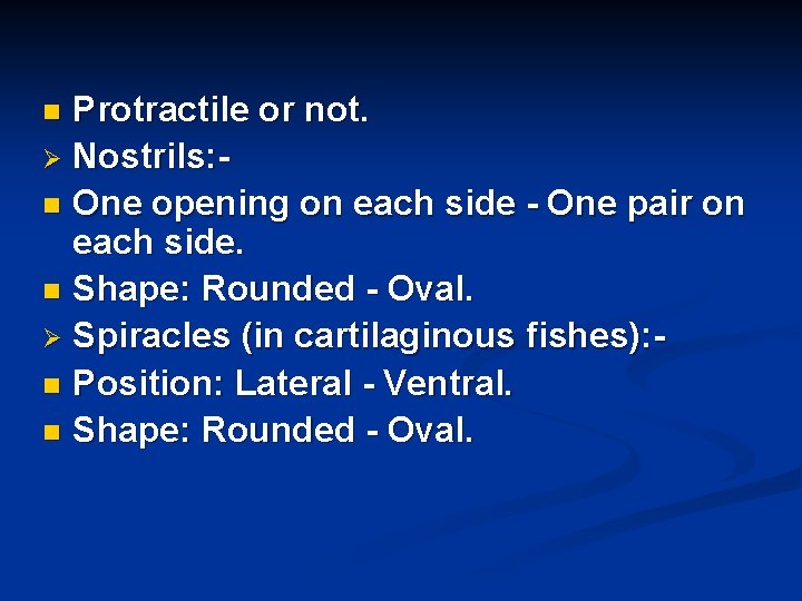 Animal Taxonomy Vertebrate taxonomy 305 Z 3 rd