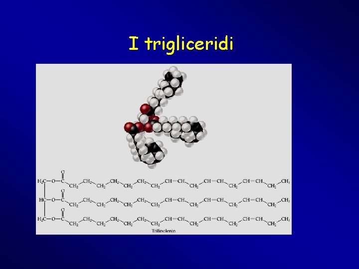 Acidi carbossilici e derivati Nomenclatura e nomi comuni