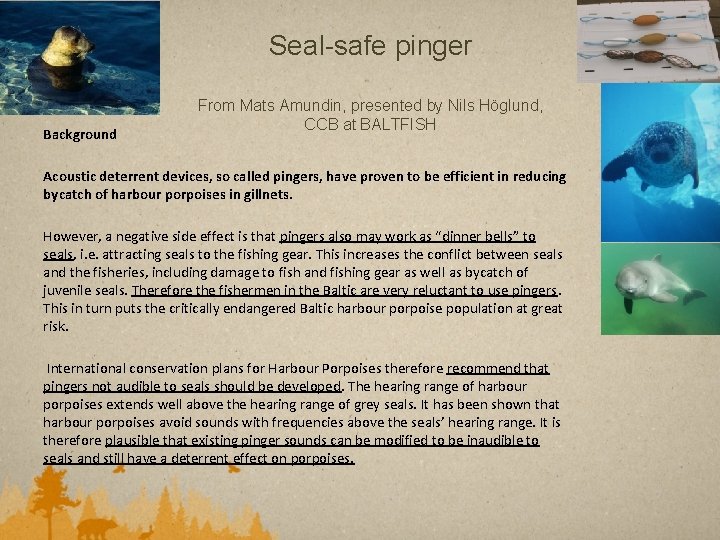 Sealsafe pinger Background From Mats Amundin presented by