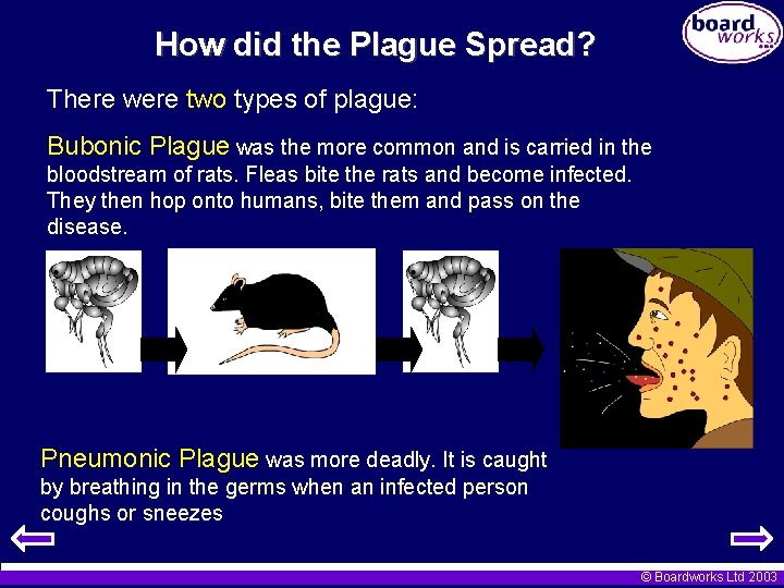 Why was the Black Death so Terrifying Boardworks