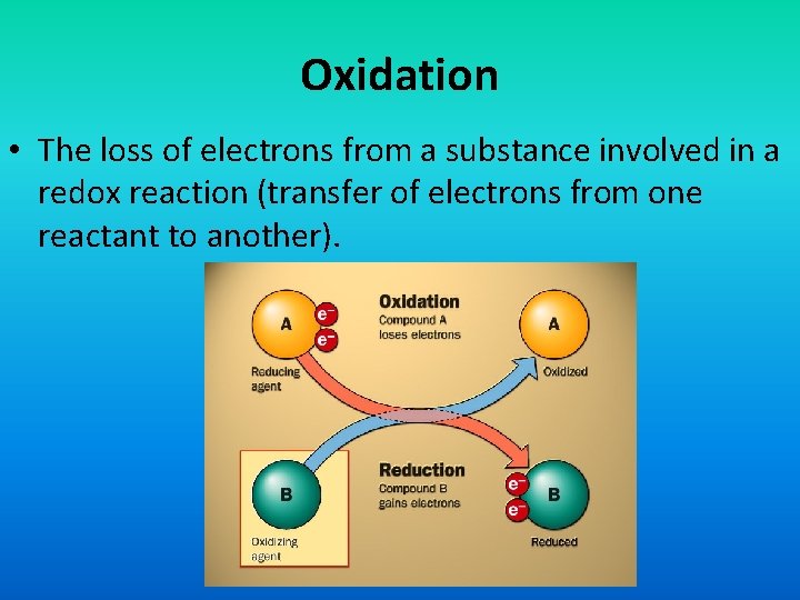 Topic 2 8 Cell Respiration IB Biology Cell