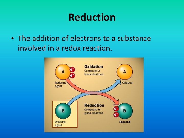 Topic 2 8 Cell Respiration IB Biology Cell