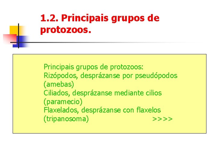 Os seres vivos Tema 6 Os seres vivos
