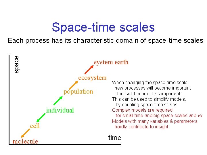 Metabolic Organisation has a formal basis Bas Kooijman