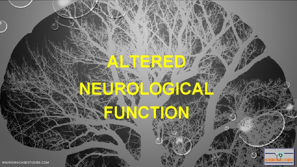 ALTERED NEUROLOGICAL FUNCTION NURSINGCASESTUDIES COM PATIENT PROFILE Jaylee