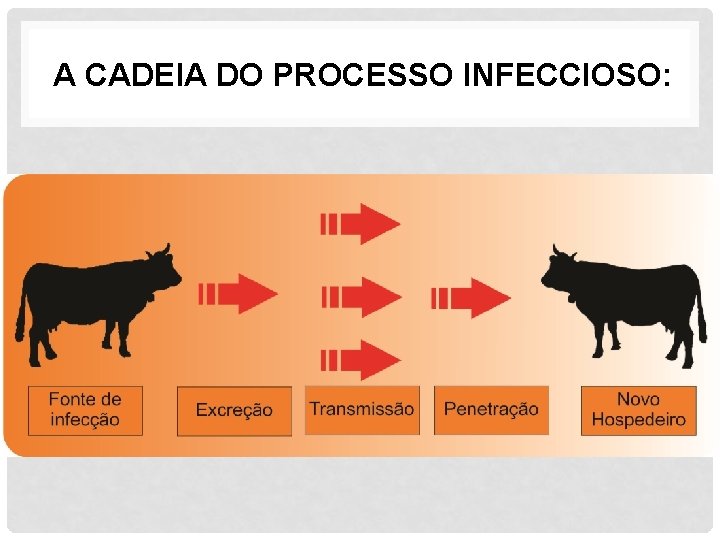 EPIDEMIOLOGIA DAS INFECES VIRAIS LABVIR ICBS UFRGS 2016