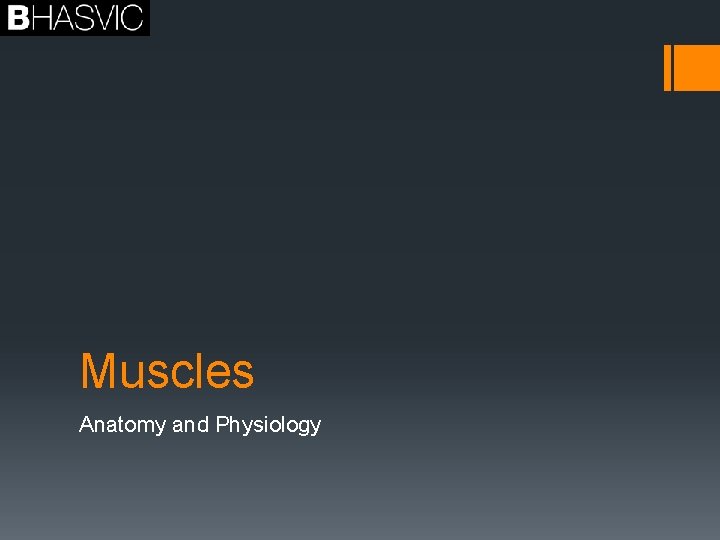 Muscles Anatomy and Physiology Muscle Facts 1 Smallest