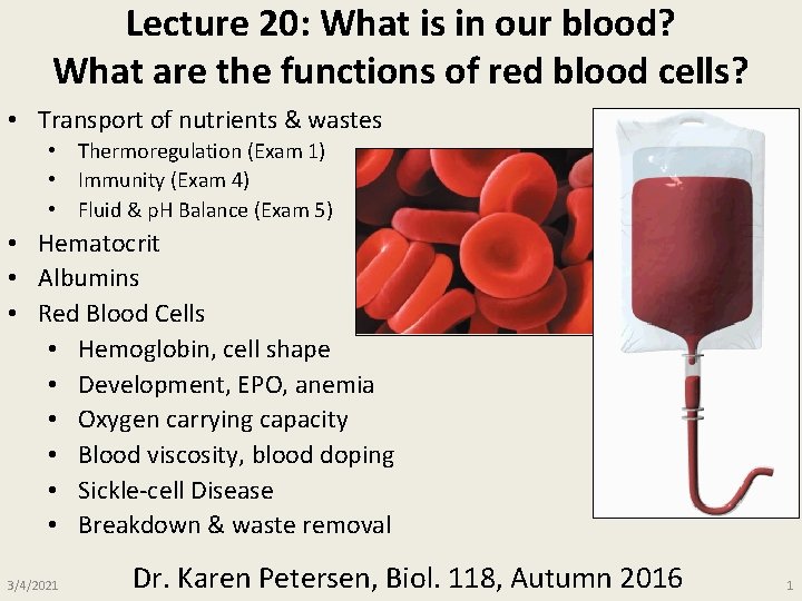 Lecture 20 What is in our blood What