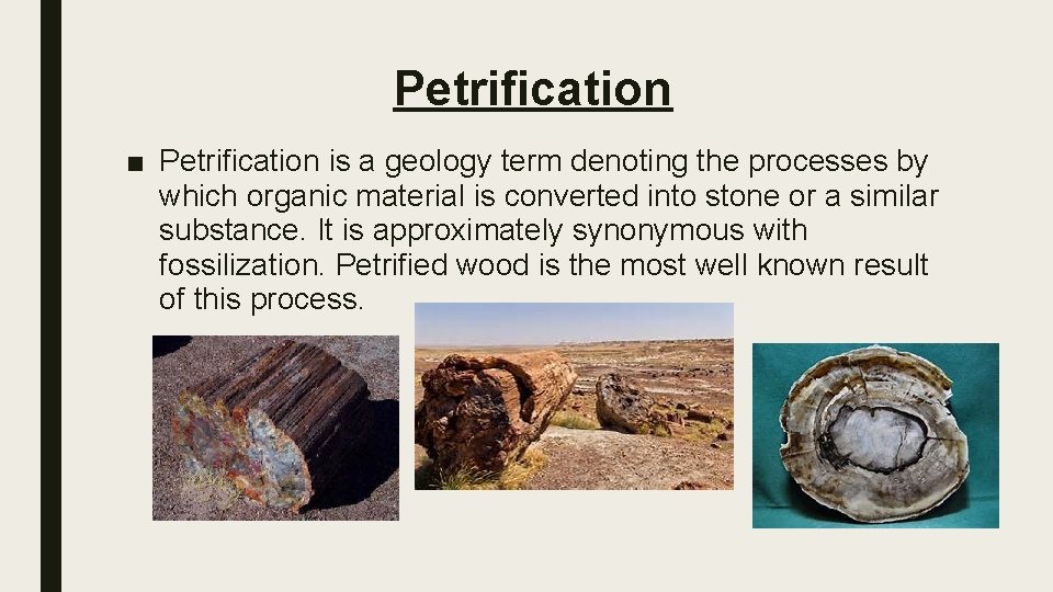 FOSSILS ALCOS 15 and 22 Paleontologist A scientist