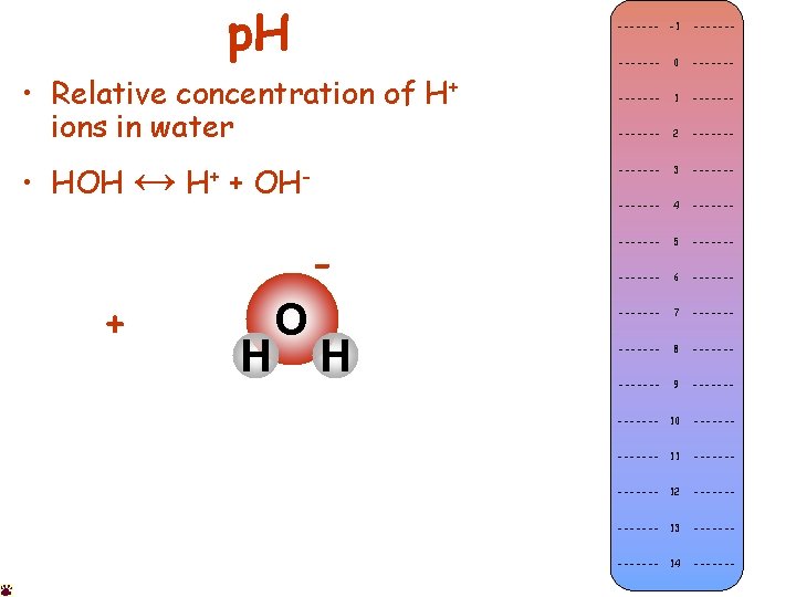 p H HOH Equilibrium of H OH Water