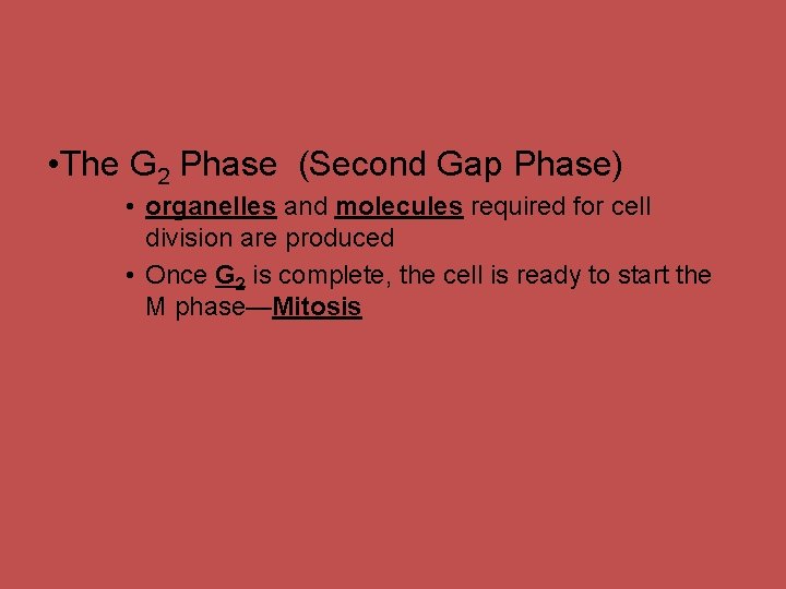 Warm Up What are all the stages of