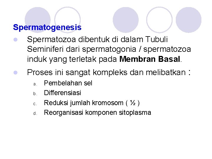 SPERMATOGENESIS dan SEMEN TERNAK SPERMATOGENESIS Pembentukan dan ...